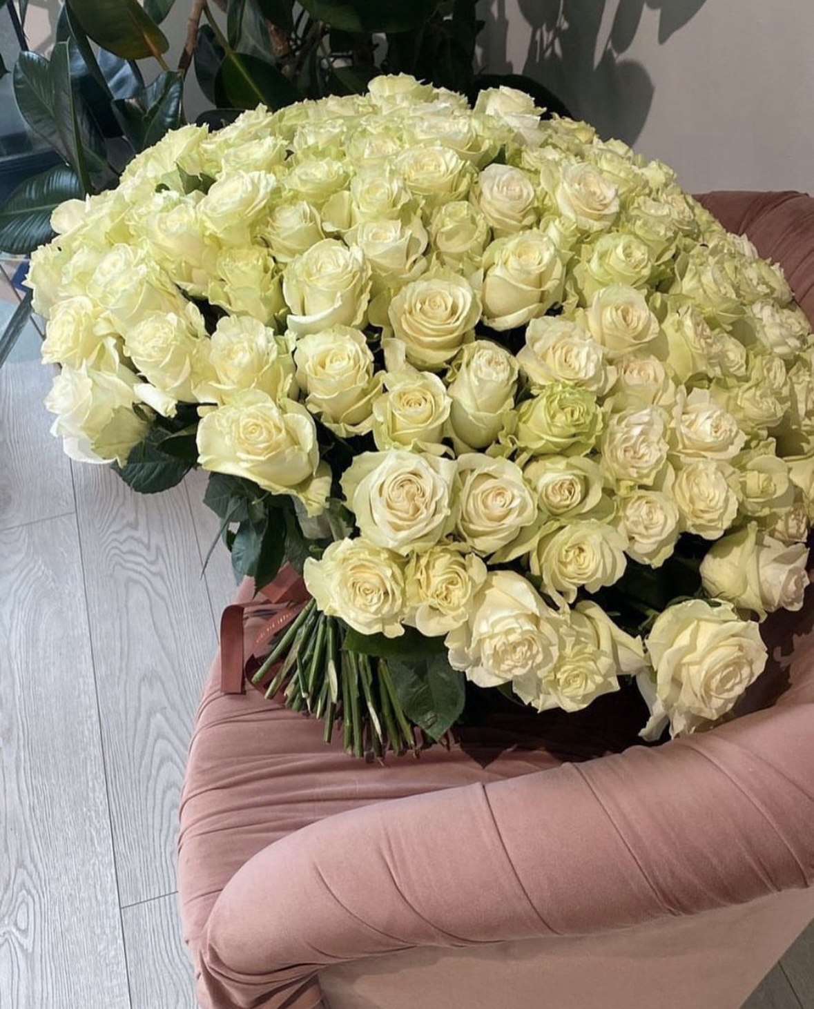 101 White Roses – NellaFleurs